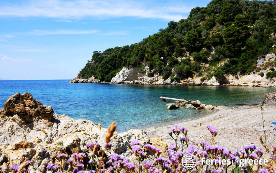 Skiathos Ferry: Tickets, Schedules & Prices | FerriesinGreece