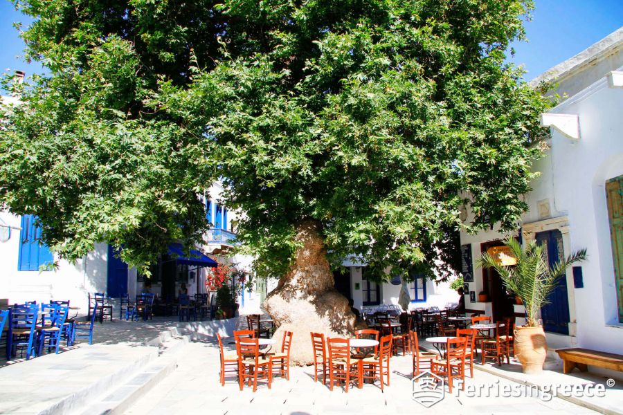 Tinos Ferry: Tickets, Schedules & Prices | FerriesinGreece